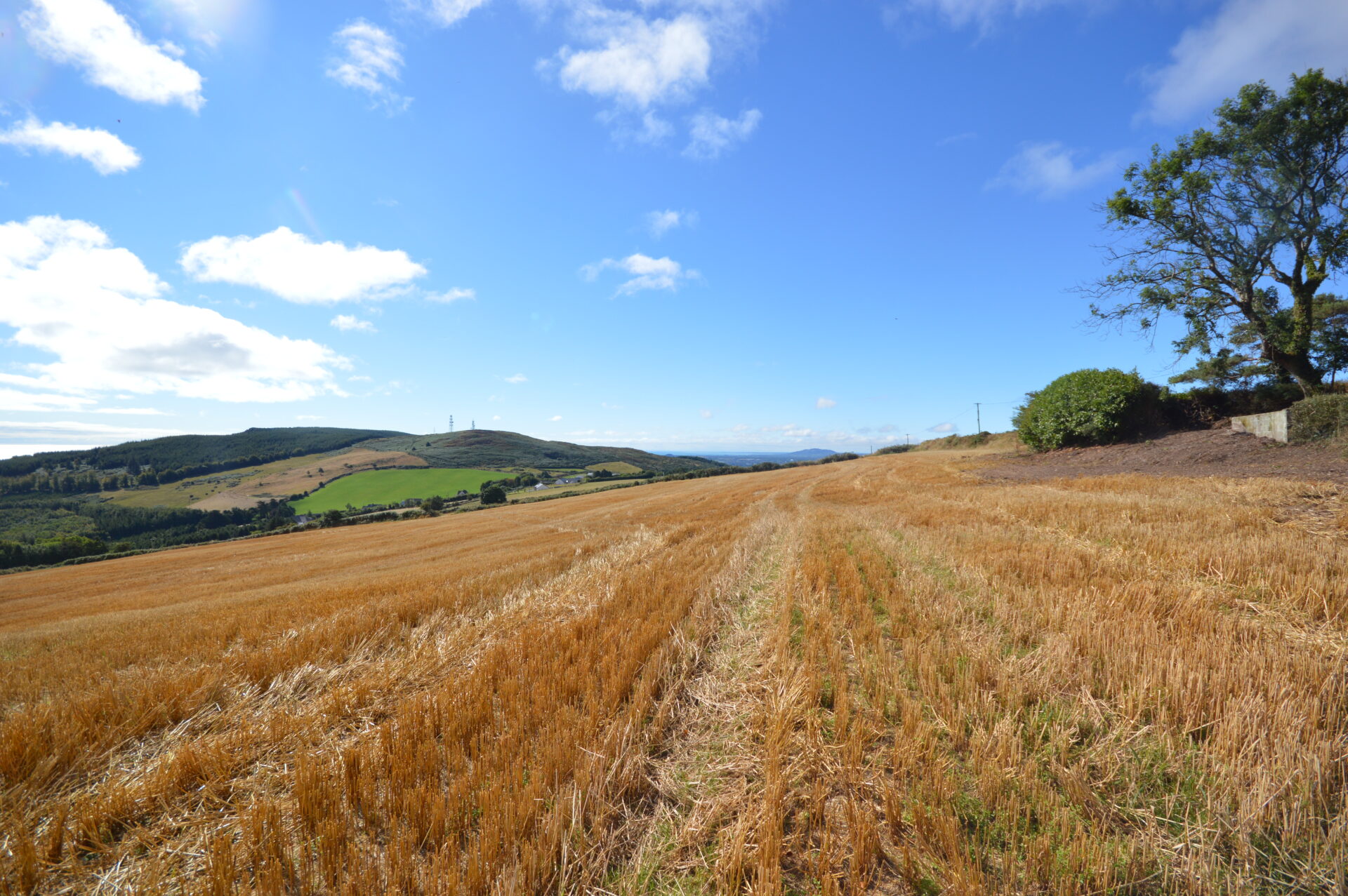 '29 acre Wicklow farm with stunning views over coastline to go under ...