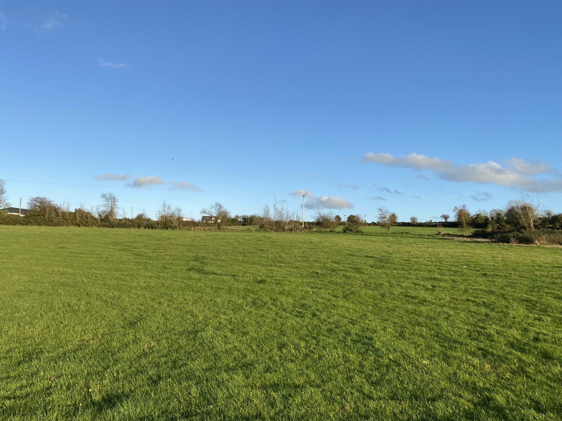 Coolycarney, Ballindaggin, Enniscorthy, Co. Wexford - Auction Report ...