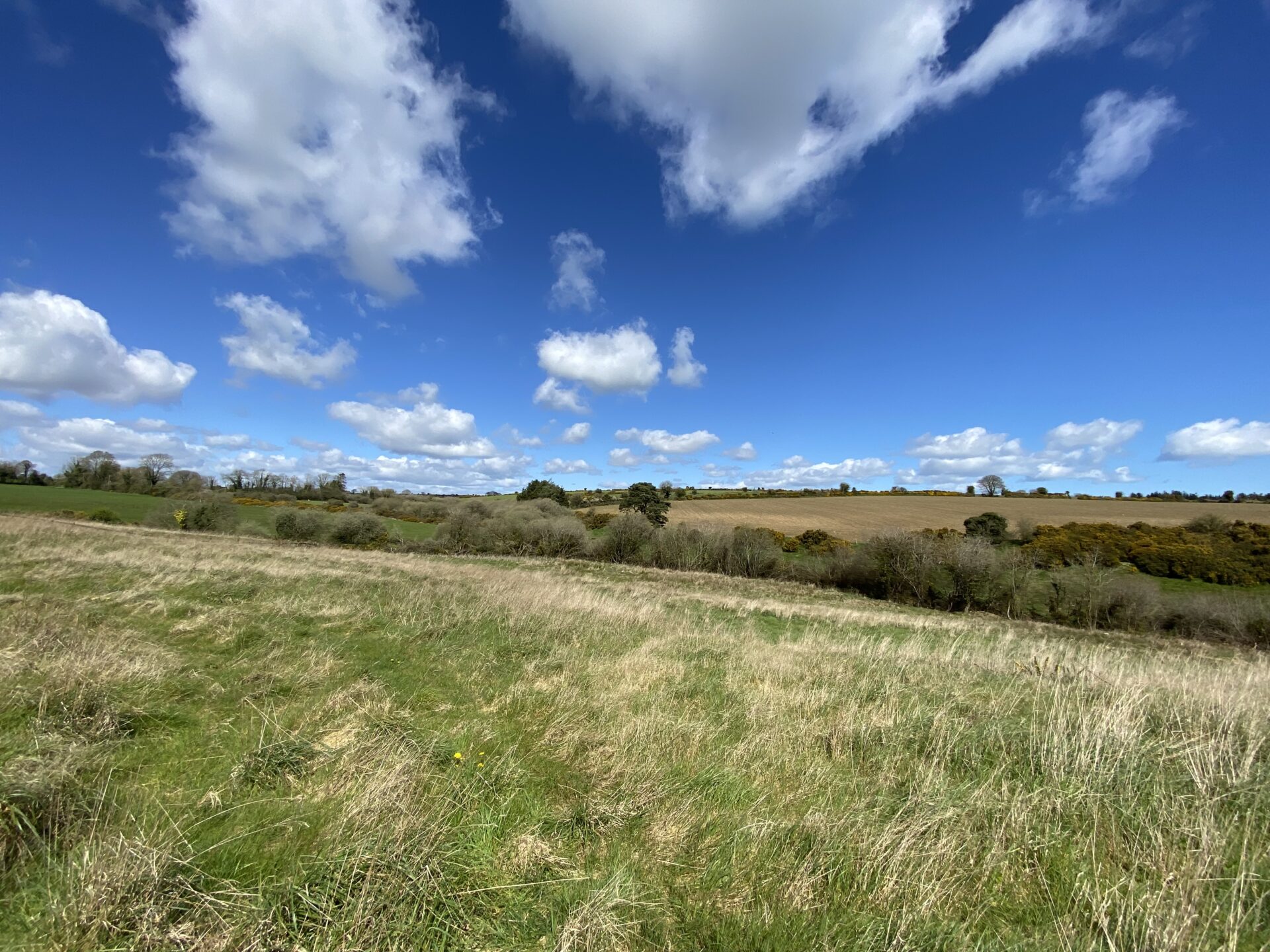 Garrydaniel, Monamolin, Gorey, Co. Wexford - Auction Report - Quinn ...