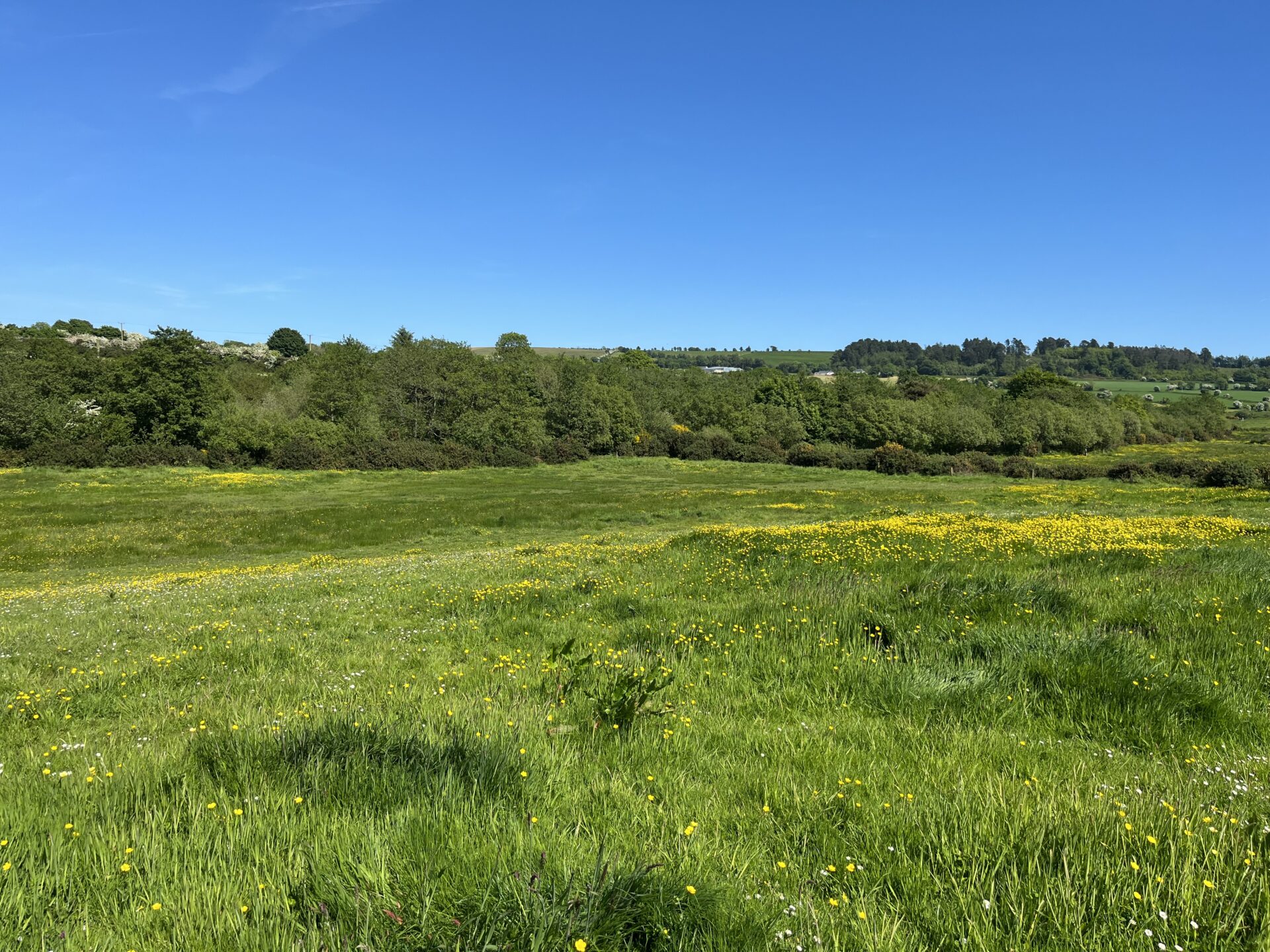 'Gorey roadside plot sells for €171,000'. Gorey Guardian. 26/07/23 ...