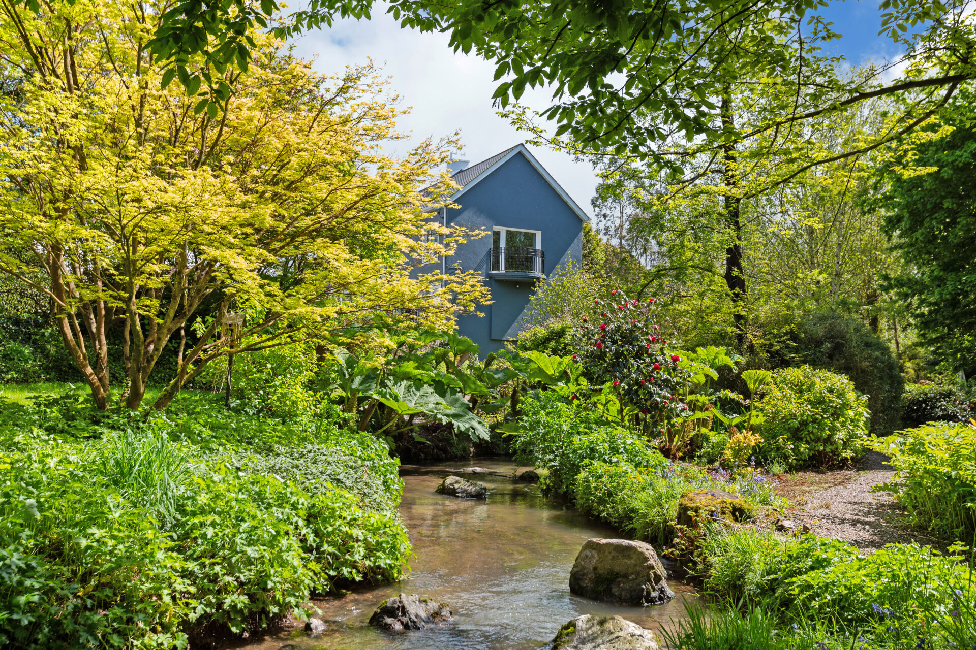 'See inside hidden Wexford gem with a €1.25m price tag'. Gorey Guardian ...