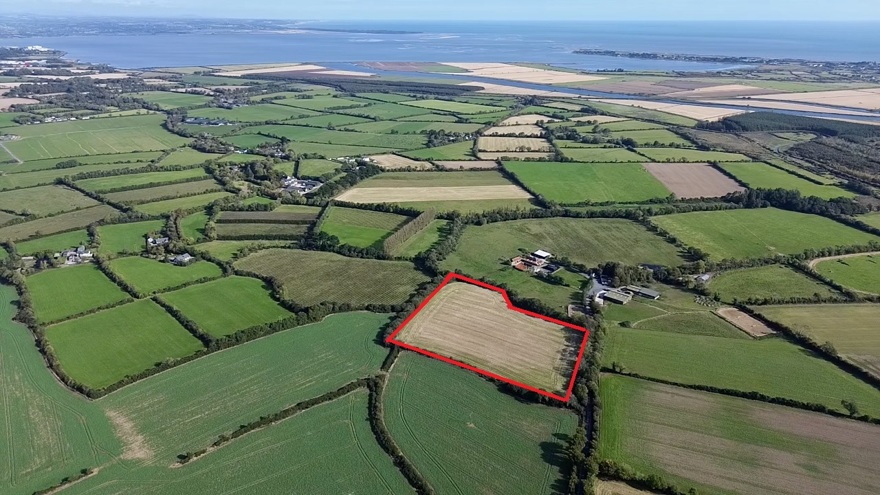 Kilmacree, Killinick, Co. Wexford - Auction Report - Quinn Property